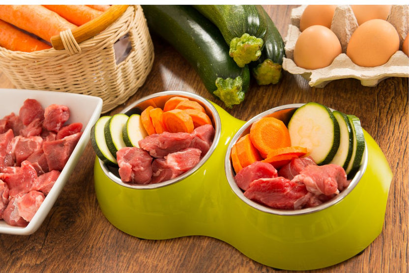 Understanding Dog Food: Unveiling Key Ingredients in Dog Food – GIVE A ...